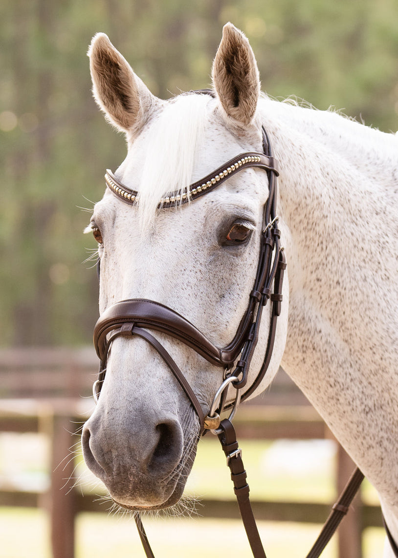 Comfort Connect Rein - Intermittent Padding for Equal Rein Length and ...