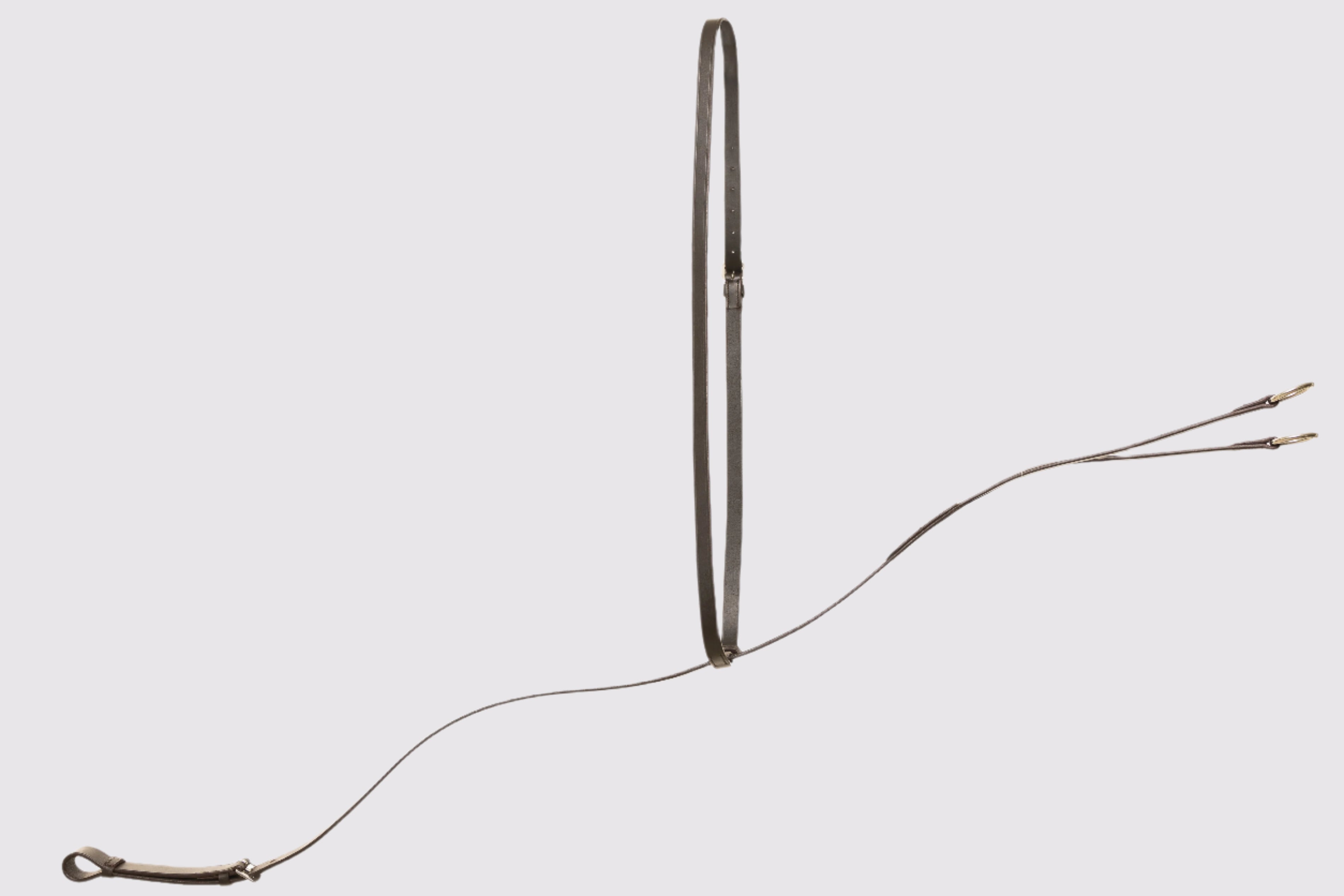 Running Martingale – CorrectConnect