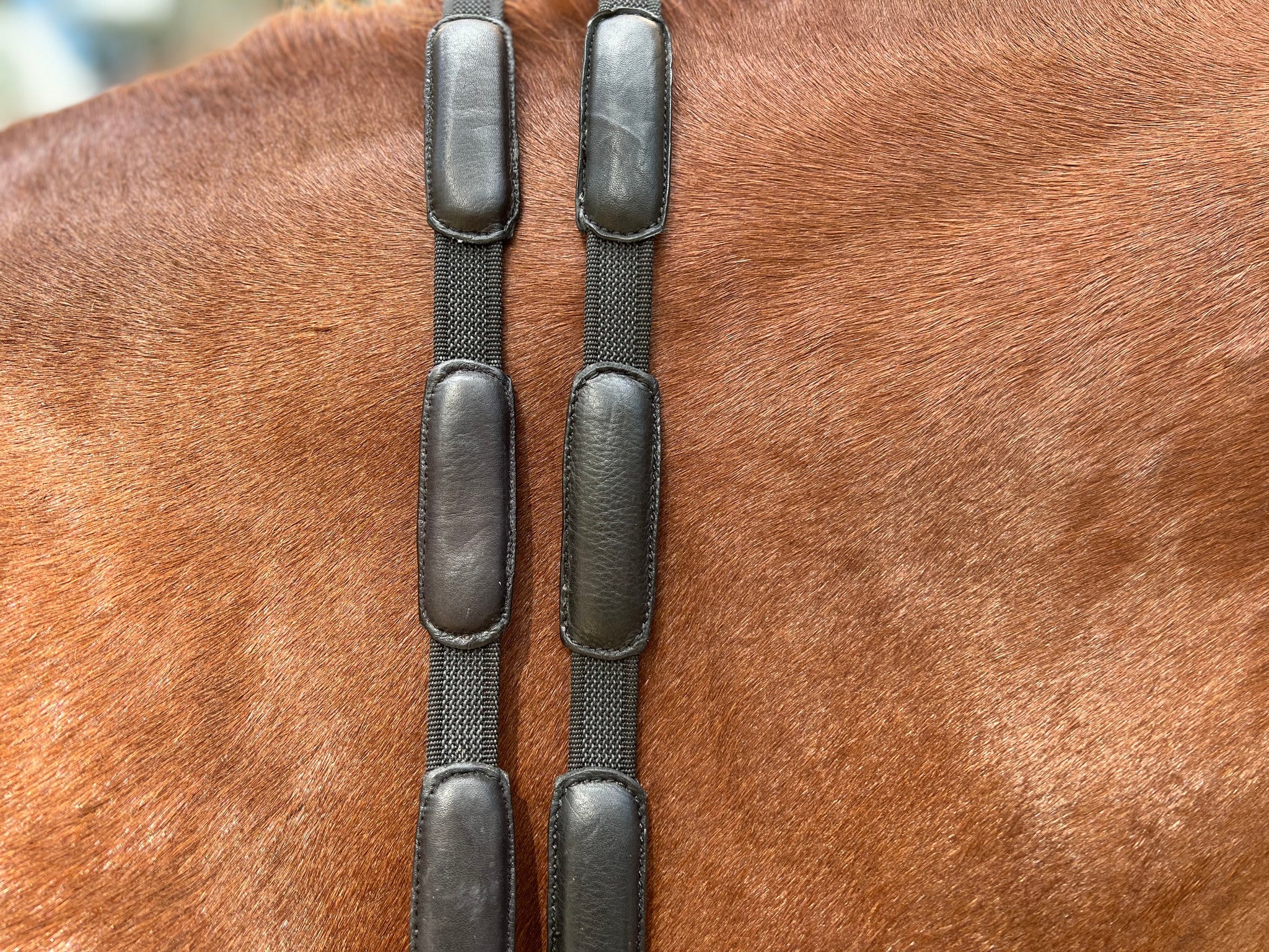 Comfort Connect Rein - Intermittent Padding for Equal Rein Length and ...