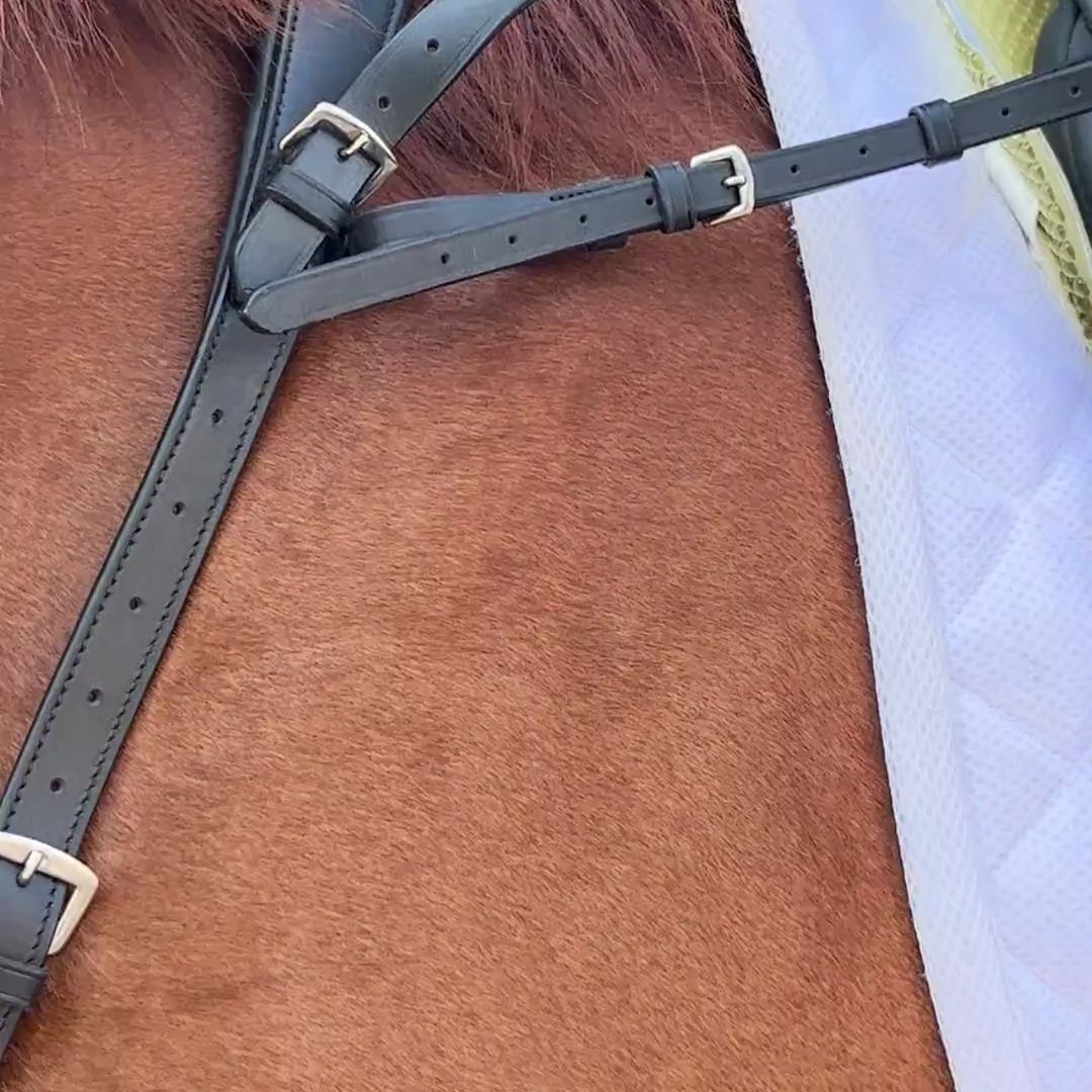 Double Neck Strap Extra Long Add-On Strap – CorrectConnect